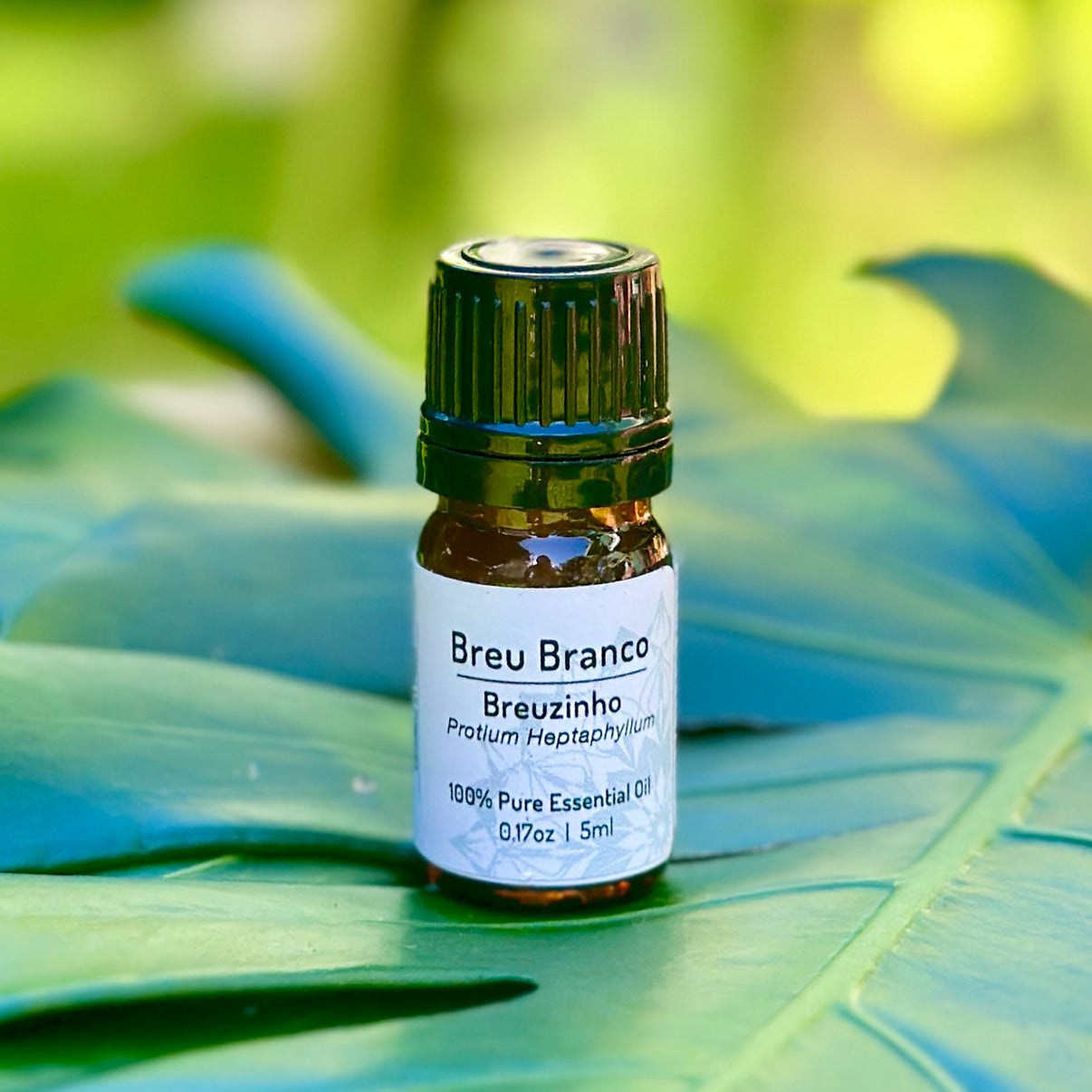 Breu Branco Essential Oil – Breu Co.
